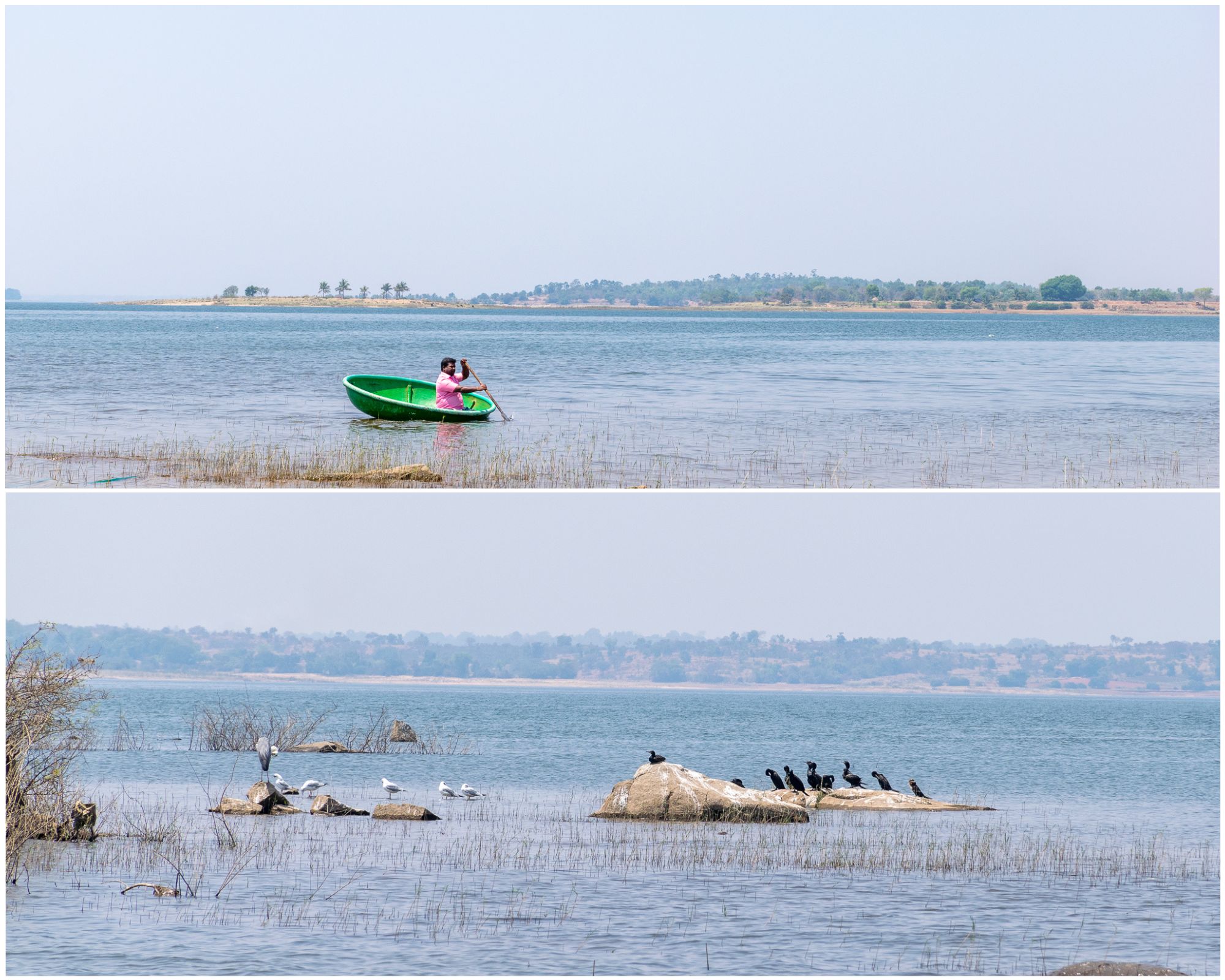 Things not to miss in Mysore - A Regular's Guide