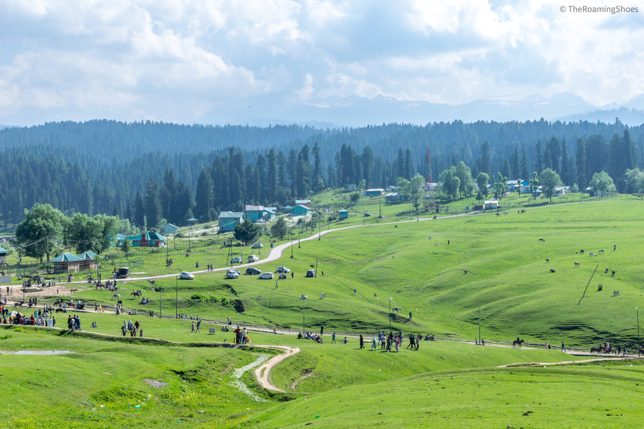 Yusmarg - A guide to Kashmir's lesser known gem