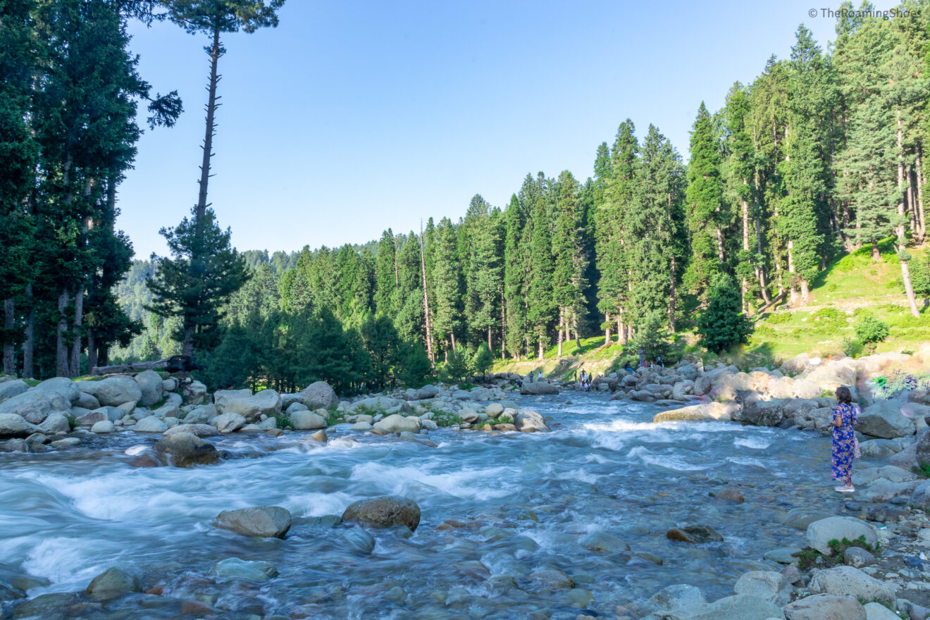 Yusmarg - A guide to Kashmir's lesser known gem