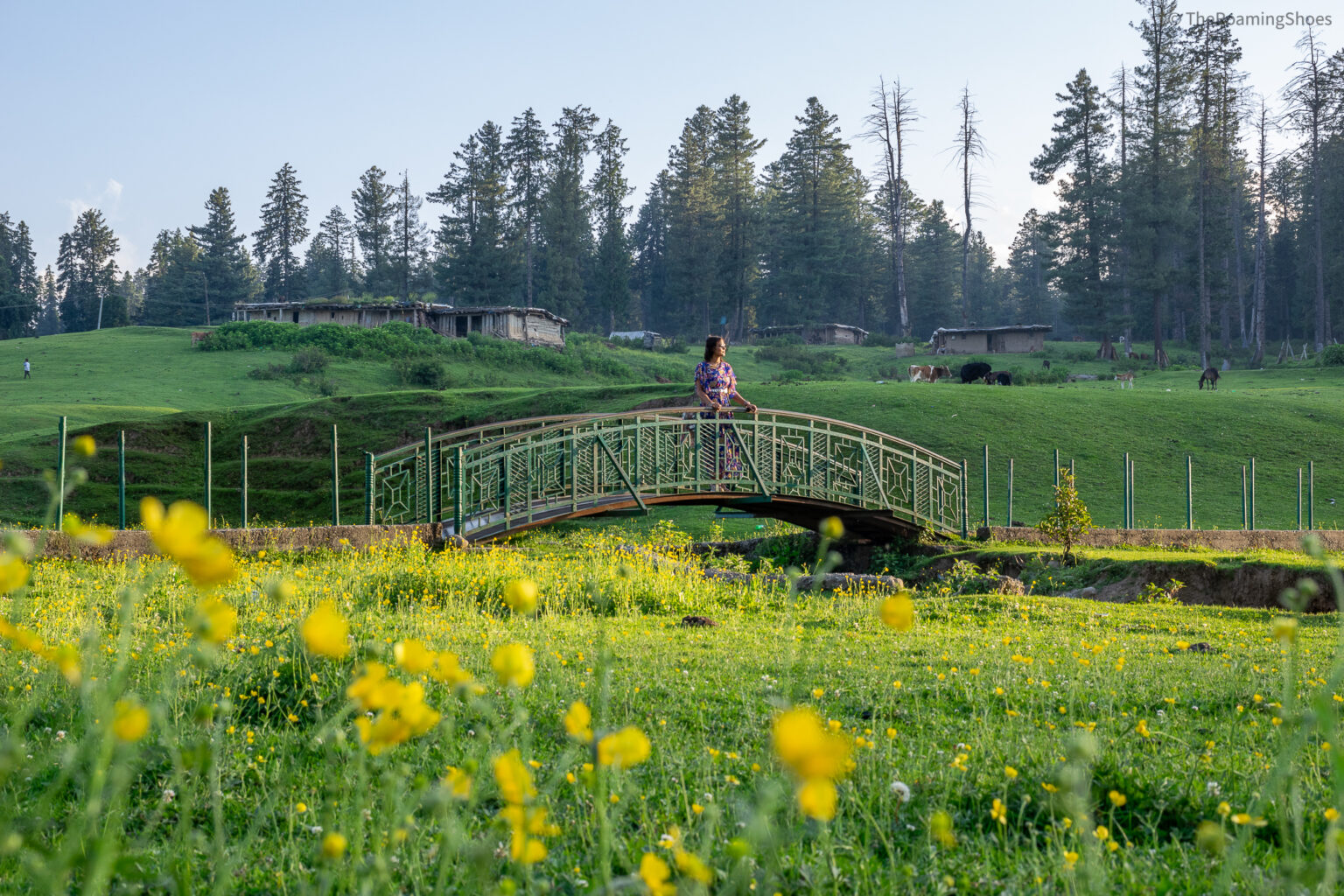 Yusmarg - A guide to Kashmir's lesser known gem