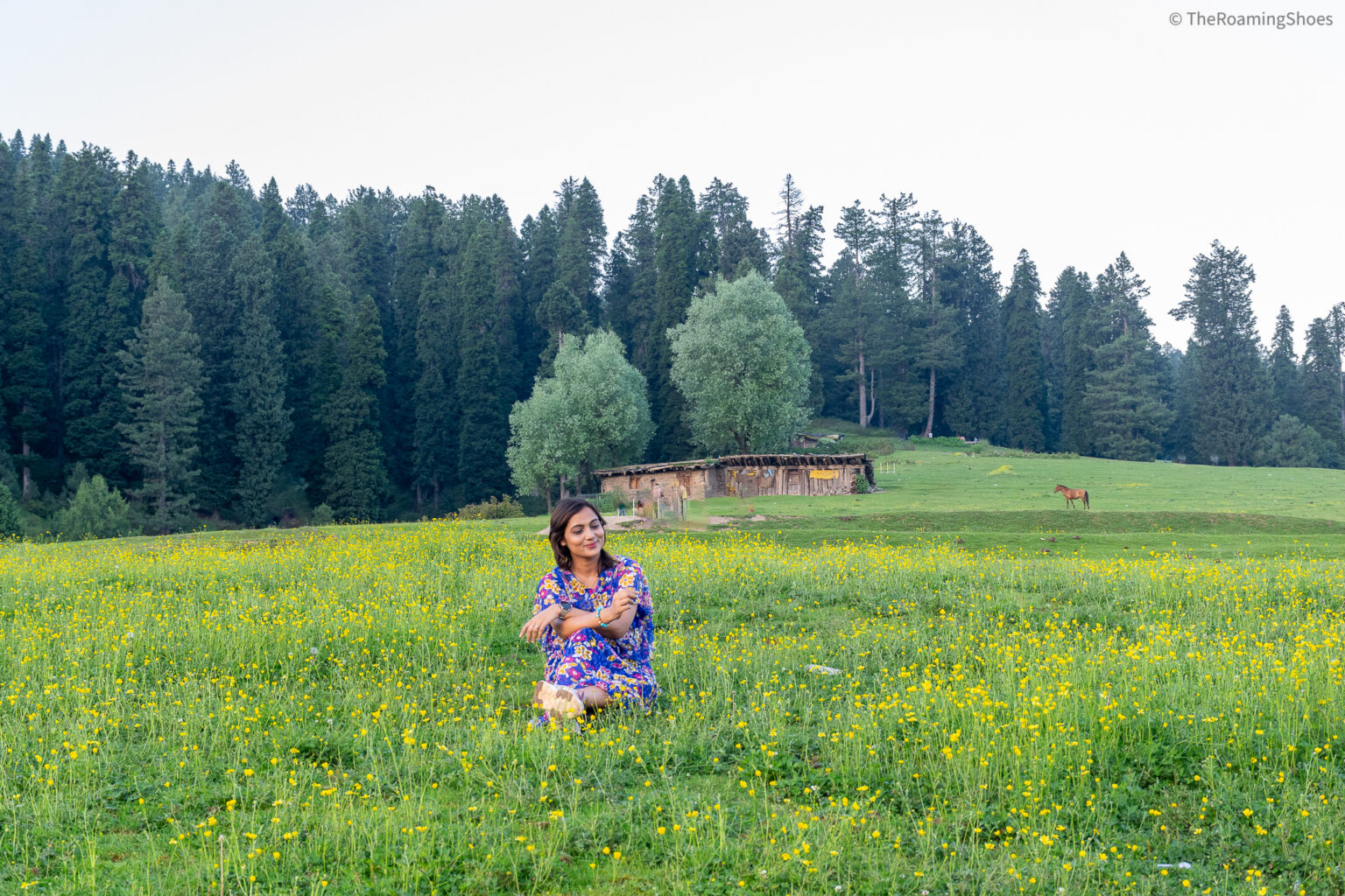 Yusmarg - A guide to Kashmir's lesser known gem