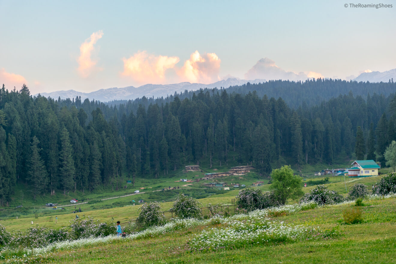 Yusmarg - A guide to Kashmir's lesser known gem