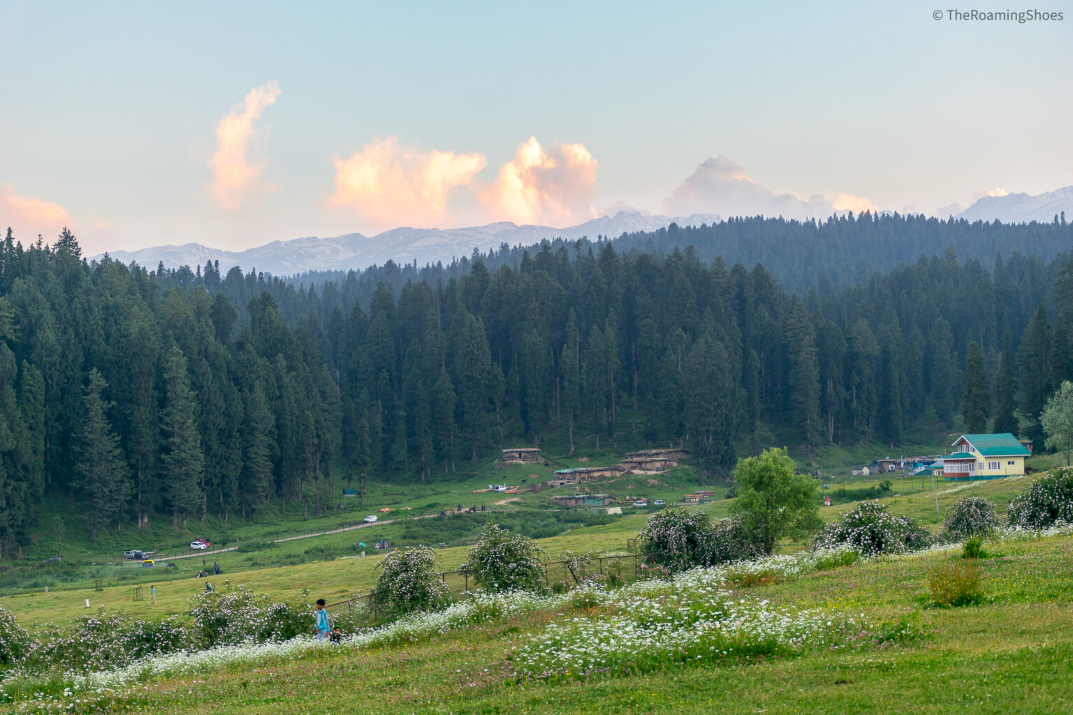 Yusmarg - A guide to Kashmir's lesser known gem