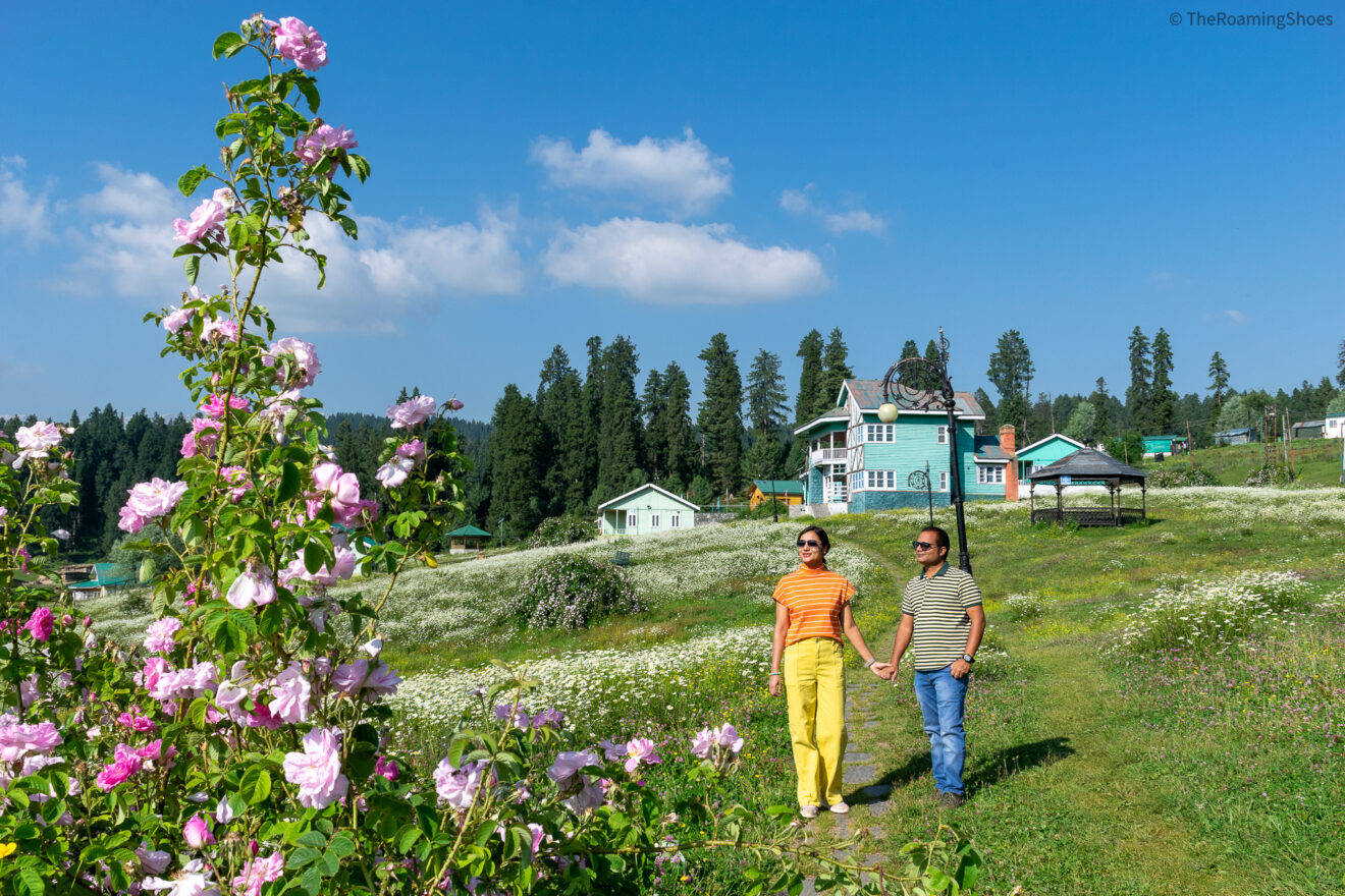 Yusmarg - A guide to Kashmir's lesser known gem