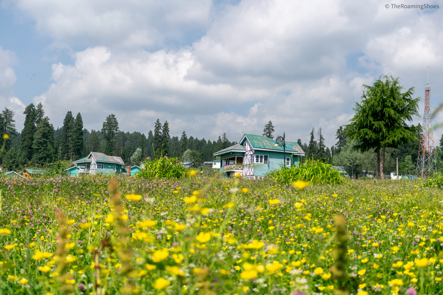 Yusmarg - A guide to Kashmir's lesser known gem