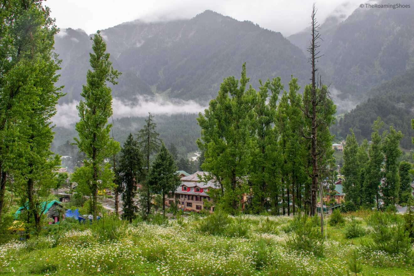 Experiencing Pahalgam - An Unconventional Guide