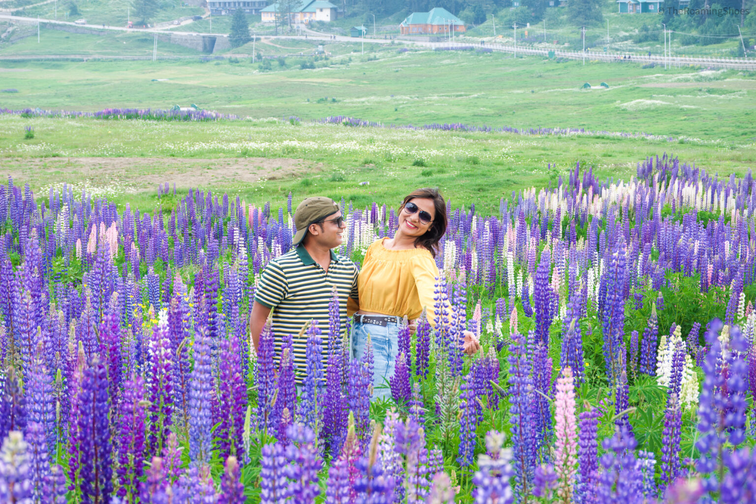 Gulmarg in Summer - A Floral Paradise