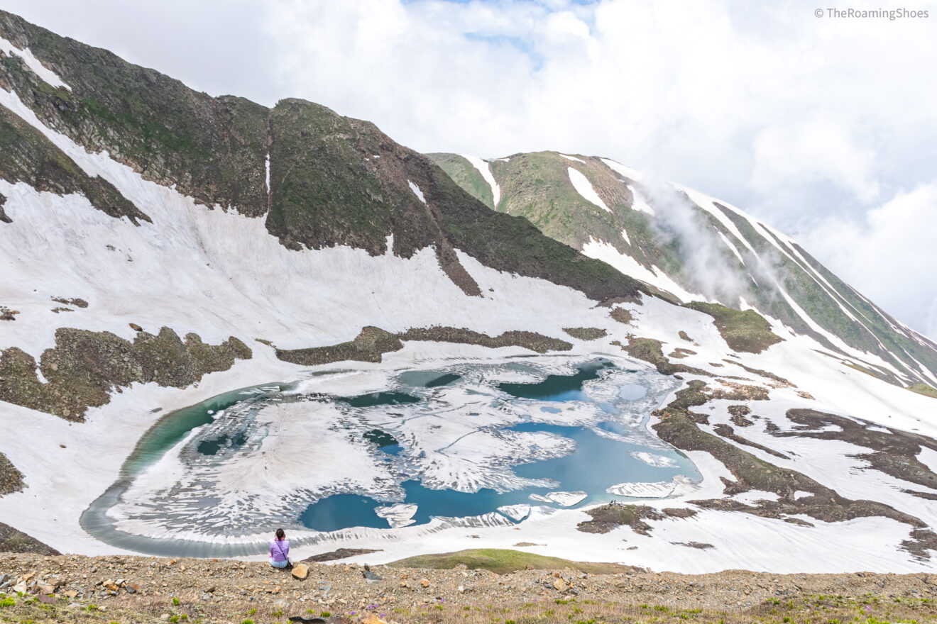 Gulmarg in Summer - A Floral Paradise