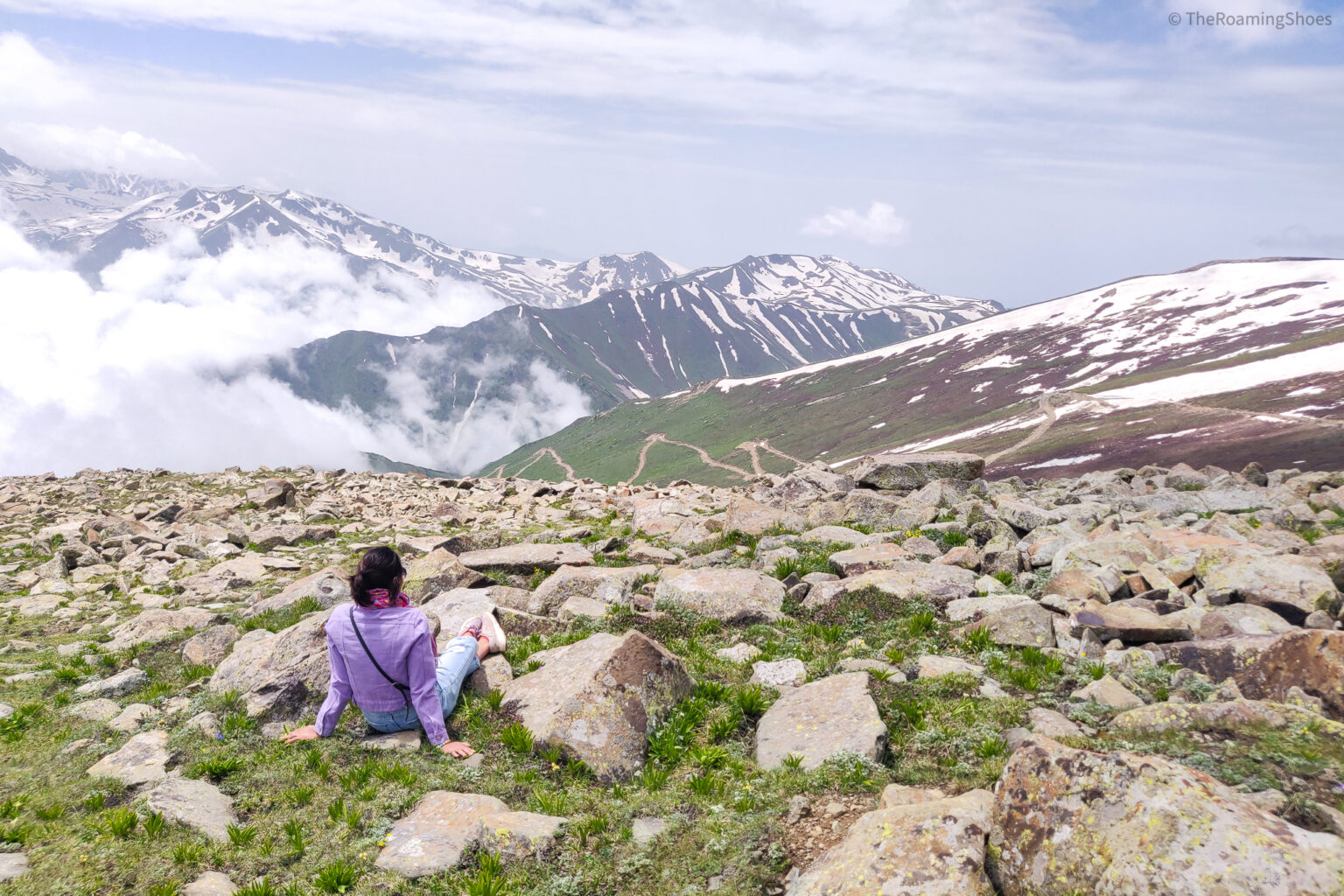 Gulmarg in Summer - A Floral Paradise