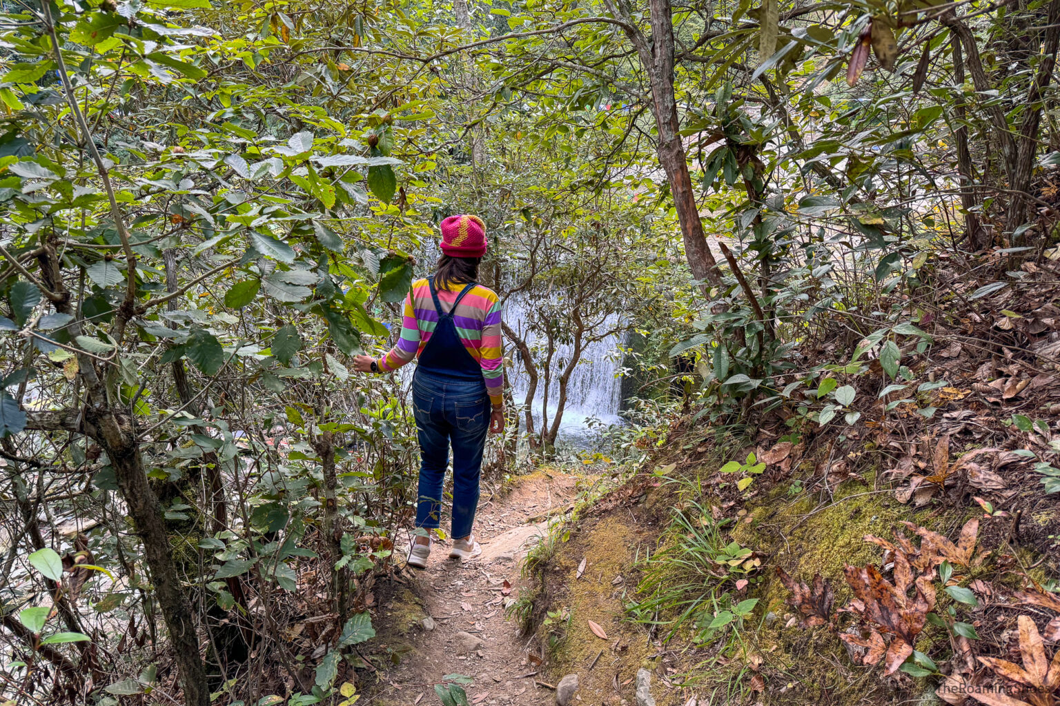 My love affair with Shergaon - The charming hamlet of Arunachal Pradesh