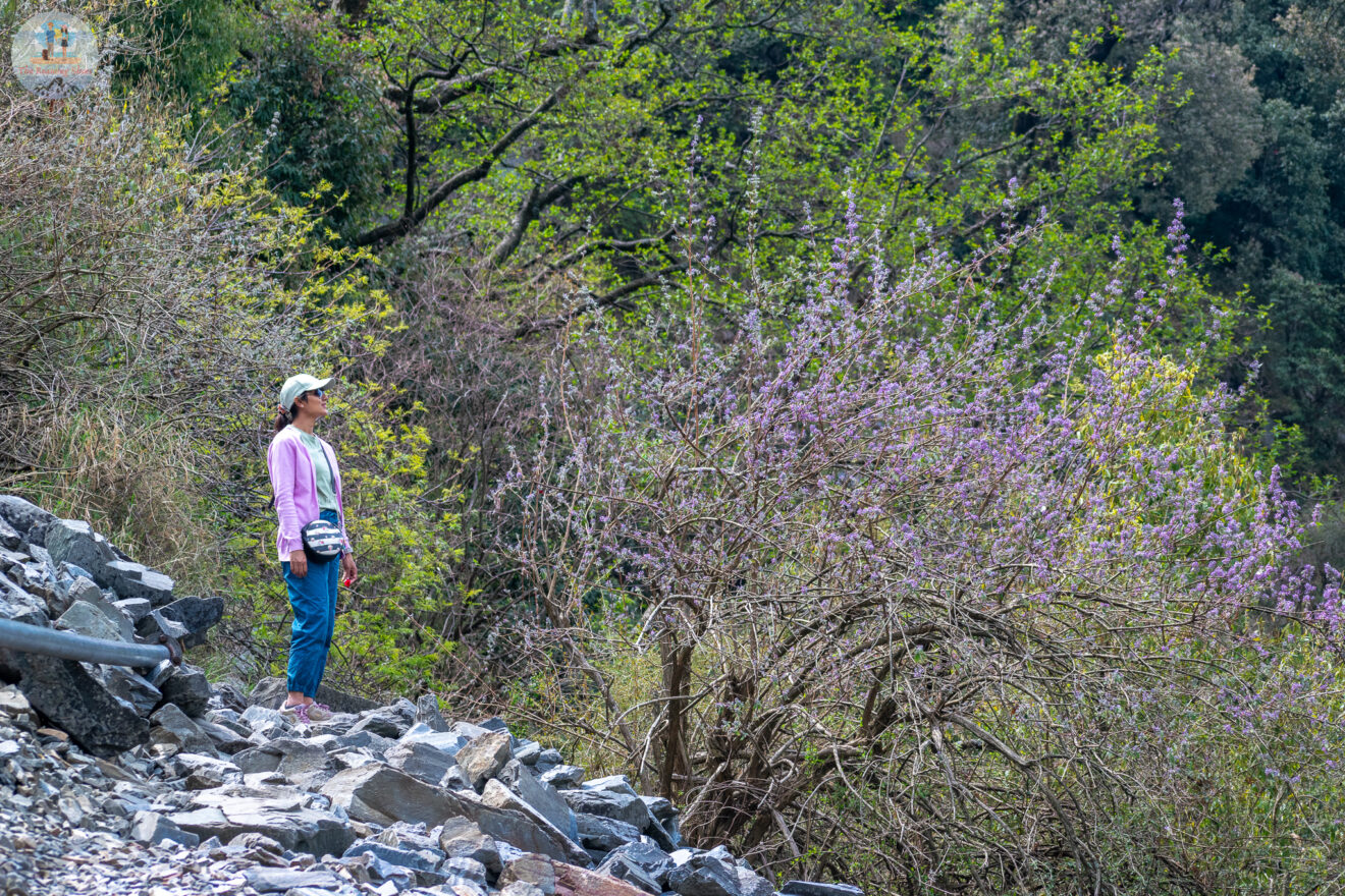 Gallu Waterfall Trek, Himachal: Enigmatic Trails to Emerald Pools