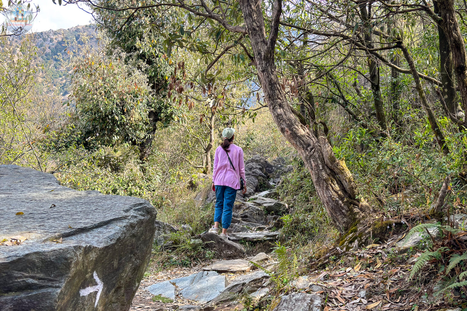 Gallu Waterfall Trek, Himachal: Enigmatic Trails to Emerald Pools