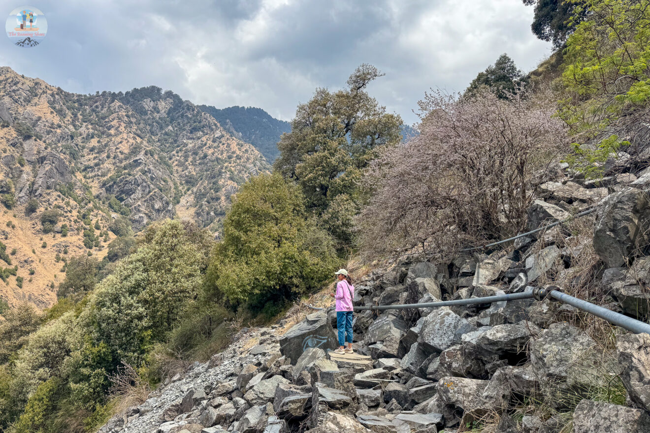 Gallu Waterfall Trek, Himachal: Enigmatic Trails to Emerald Pools