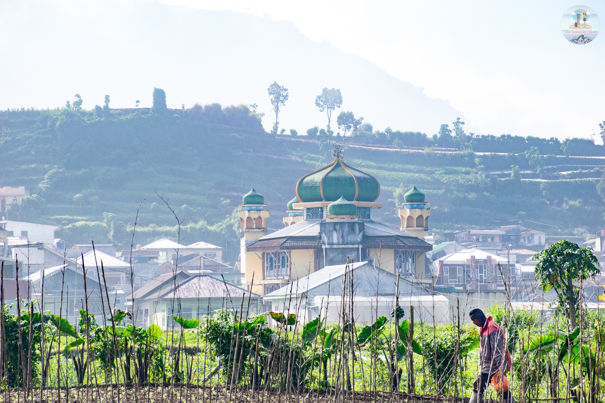 A Guide to Dieng Plateau - Of Ancient Temples and Natural Wonders